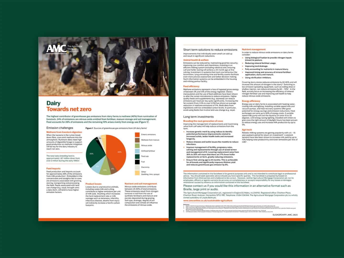 Promar and AMC - TRCREATIVE | Branding, Web Design & Digital Marketing ...